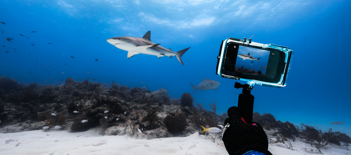 AquaGear Australia